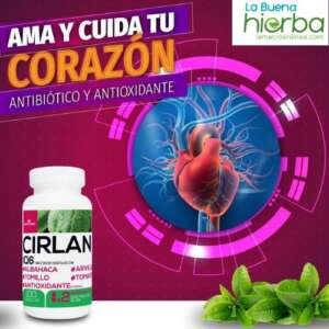 Cirlan – La Macro En Línea
